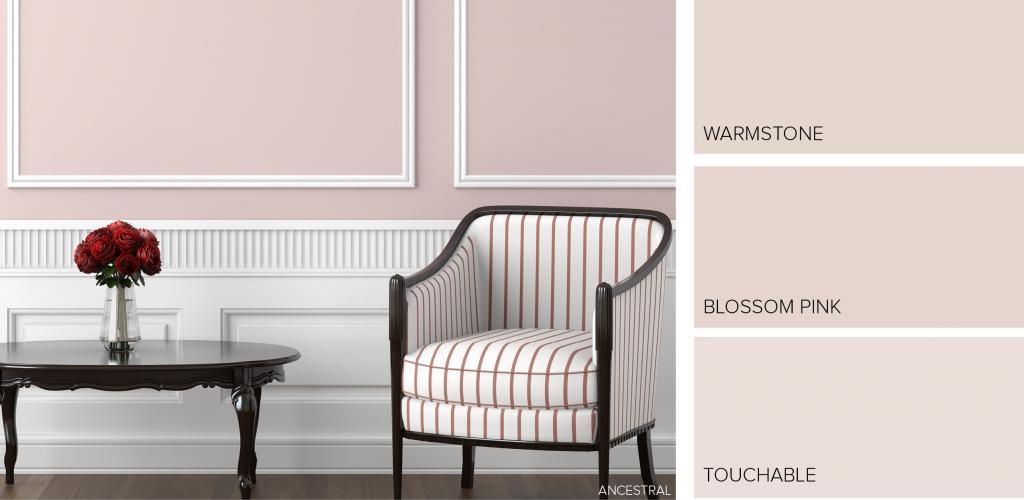 The Best Pink Paint Colors - Paintzen